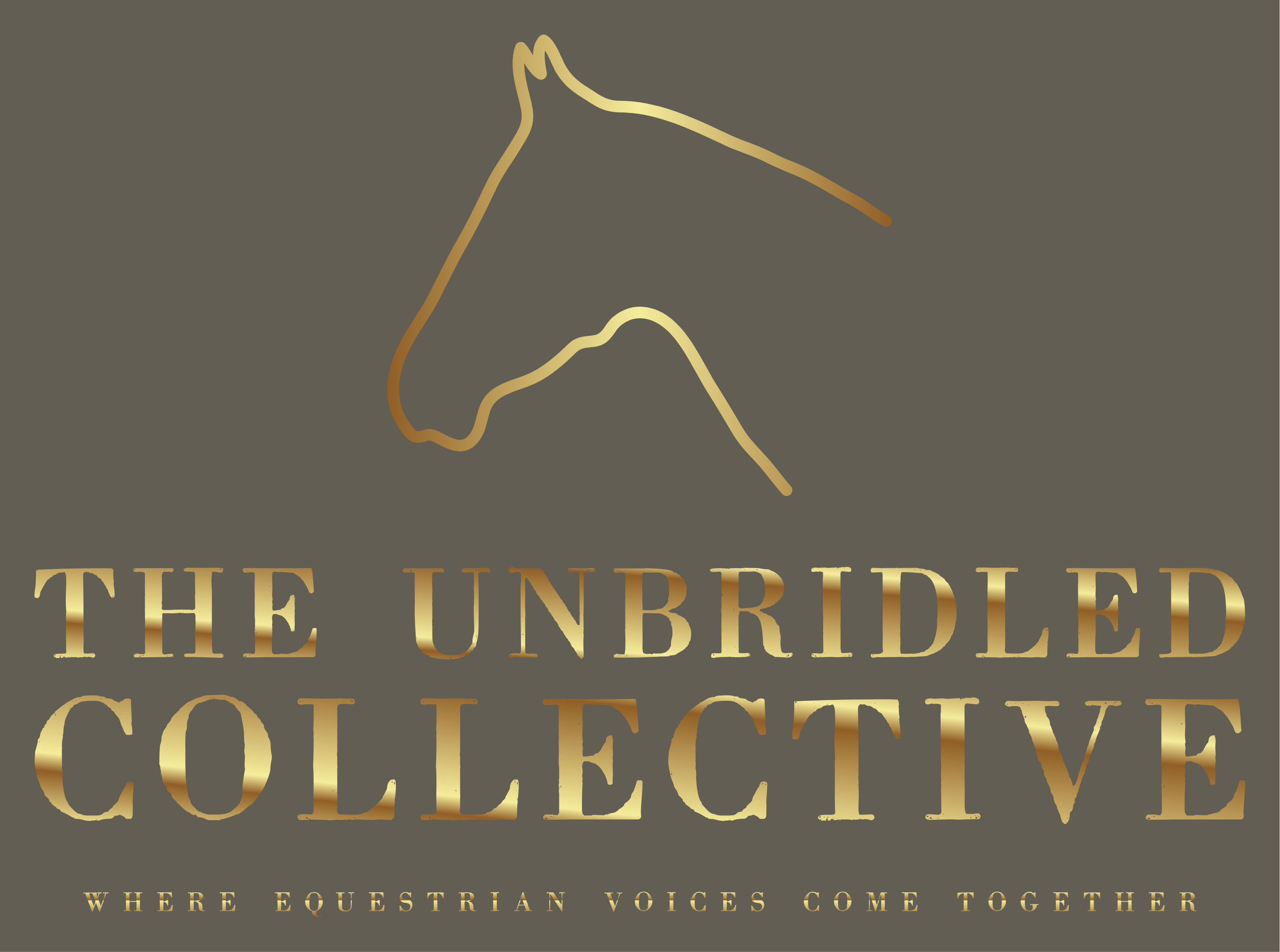 The Unbridled Collective: A cinematic platform for equestrian voices.